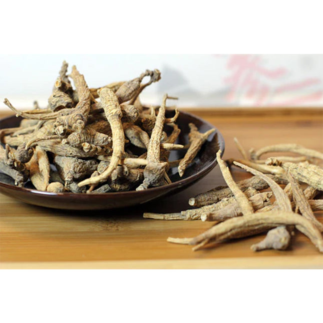 Wild Ginseng | Wing Hop Fung 永合豐